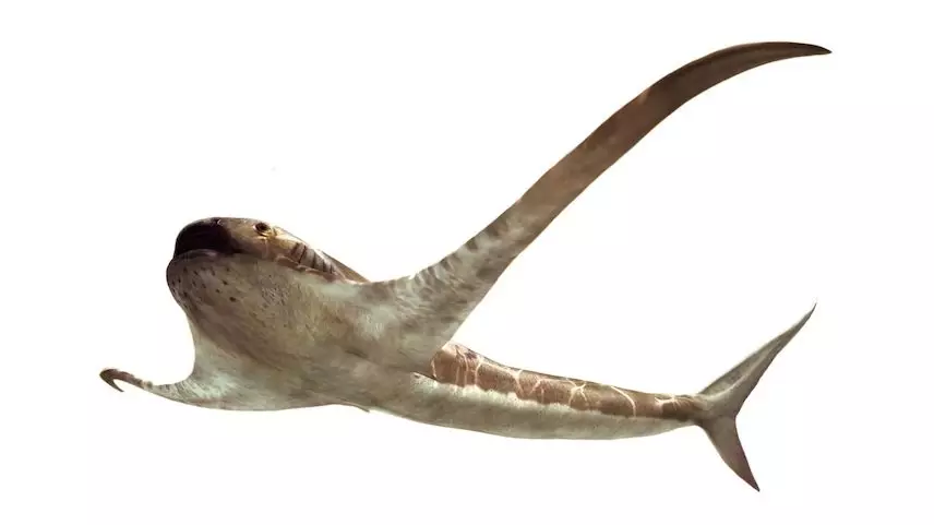 En Amérique du Nord, a trouvé l'âge «Shark Winté» de 95 millions d'années
