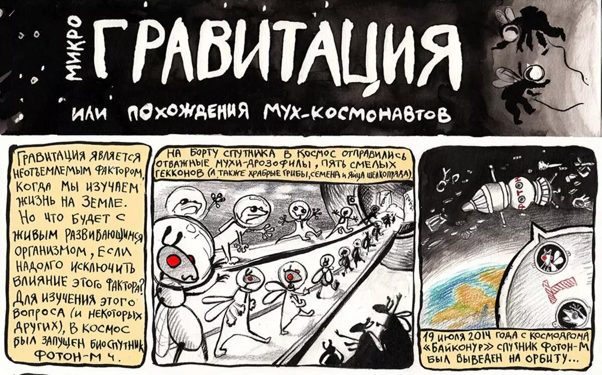 Muh Cosmonauts ၏ Adventures: Comic