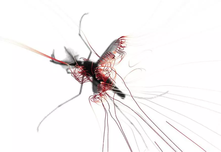 Лет на комарецот во снимање на ултра-брзински: Видео