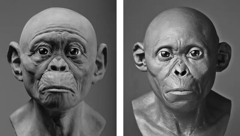 Az ókori hominidek új képei, amelyek célja a művészi előítéletek leküzdésére