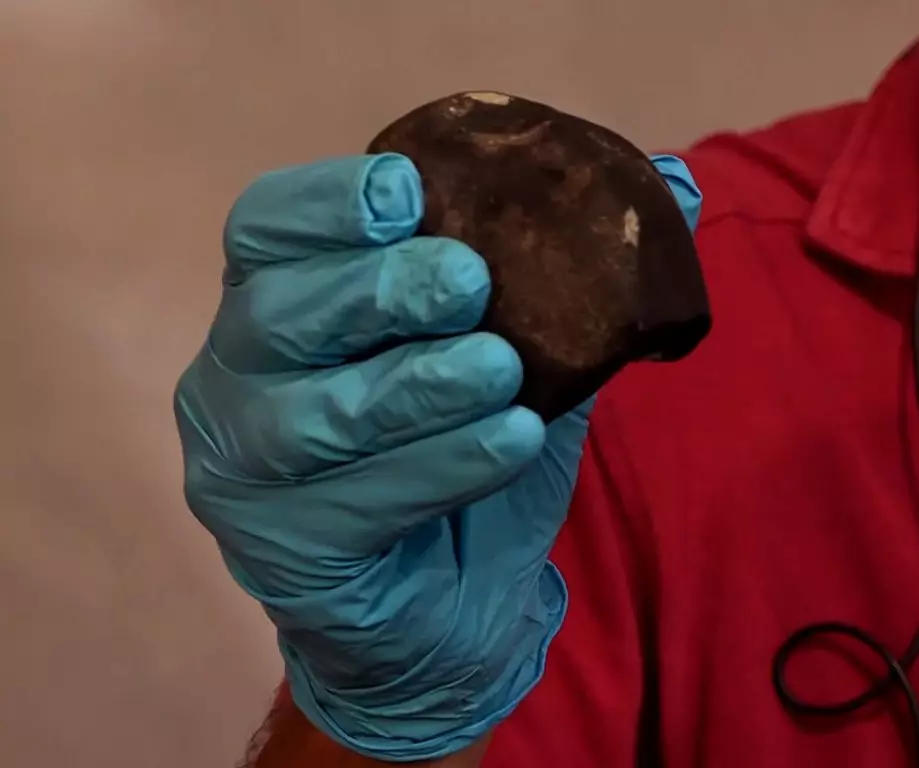 En el granero en los Países Bajos, el antiguo meteorito cayó: video