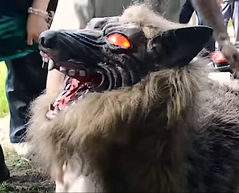 Japansk Robot Wolf Guard Rice Fields: Video