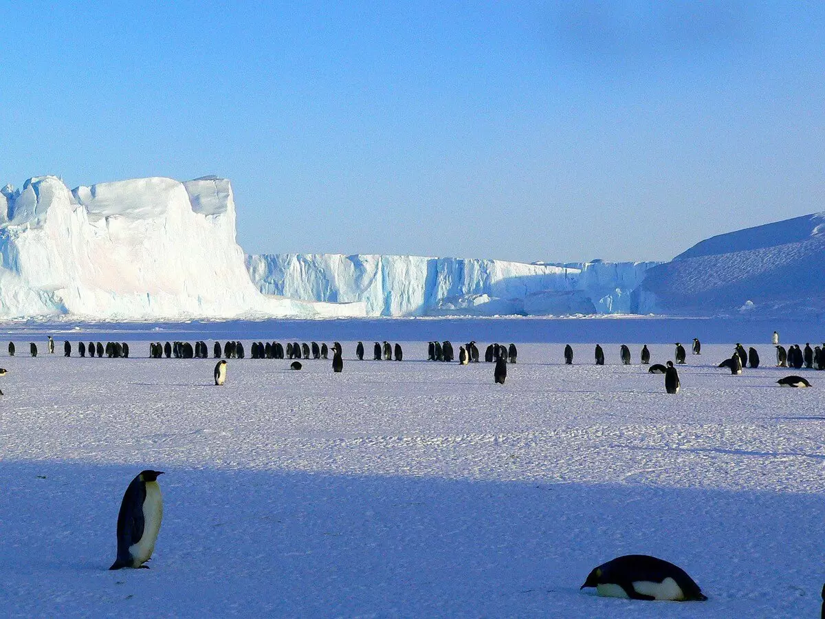 Nakahanap si Antarctica ng daang bagong mga bulkan