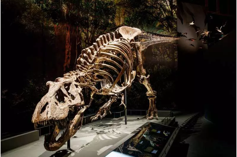Οι επιστήμονες προσομοιώθηκαν ένα semiranosaur gait: βίντεο