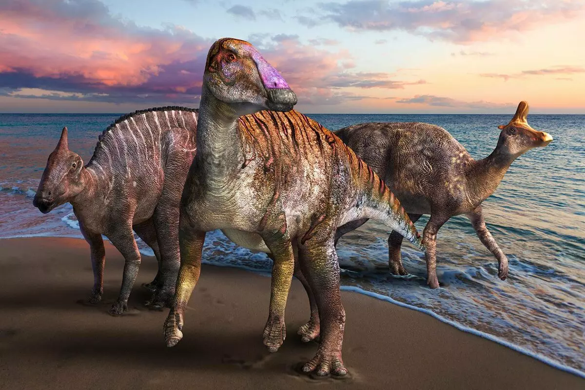 In Giappone, ha trovato un nuovo tipo di dinosauro impermeabile