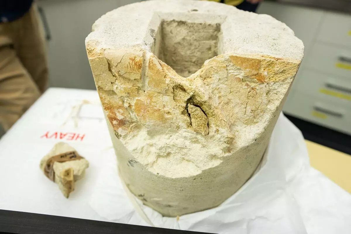 Elizako zutabean dortoka fosilaren aztarnak aurkitu zituen