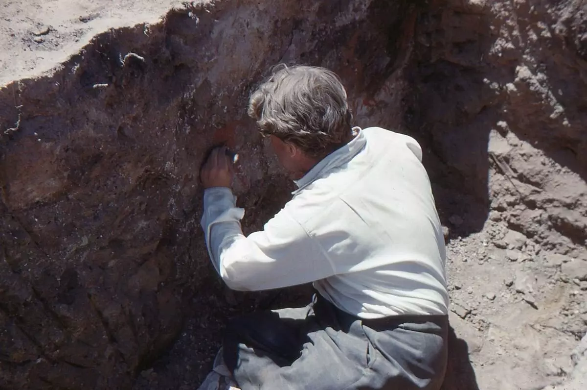 Arkeolog terkenal James Mellart adalah penipu