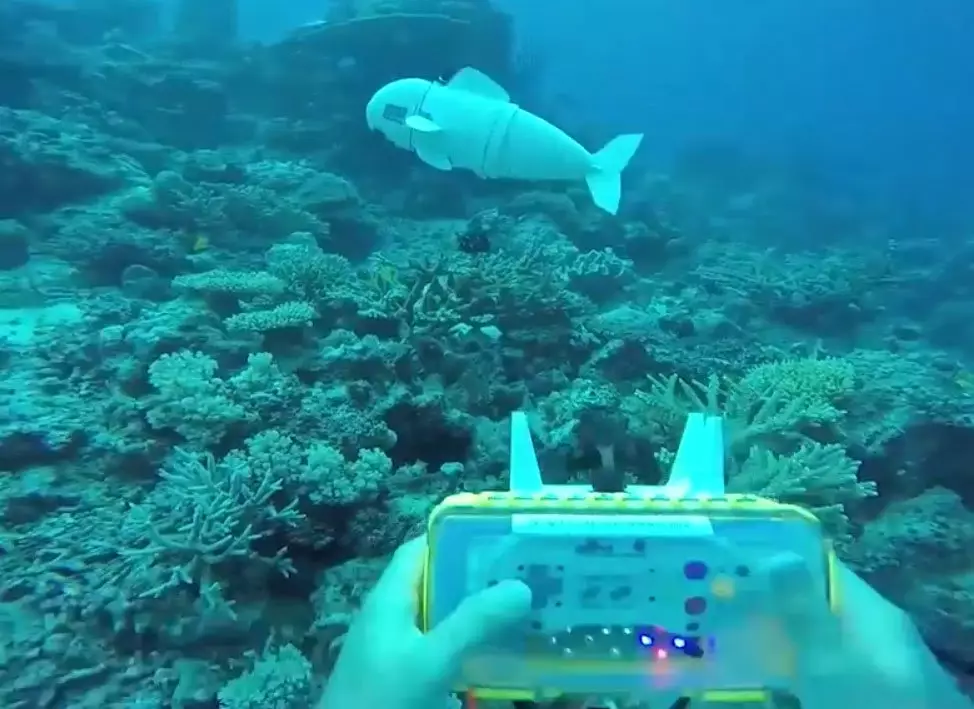 Roborba denizlerin sakinleri için casusluk: Video