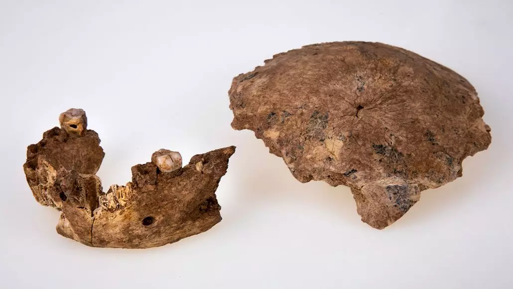 In Israël ontdekte de overblijfselen van een eerder onbekend type van een oude persoon