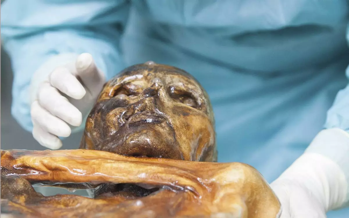 Es va saber què menjar "home de gel" Ötzi