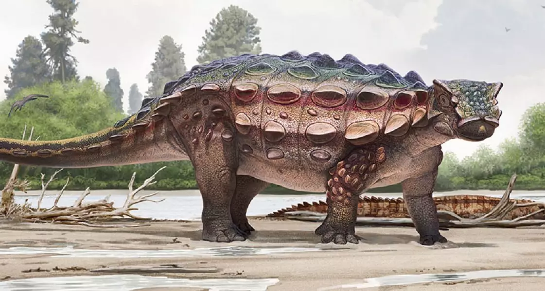 Um novo tipo de dinossauros é aberto no planalto Kaiparovits