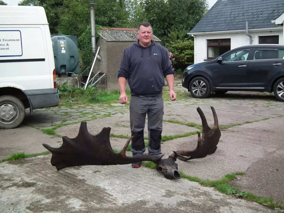 Lebka prehistorických jelen s obří rohy - to je úlovek!