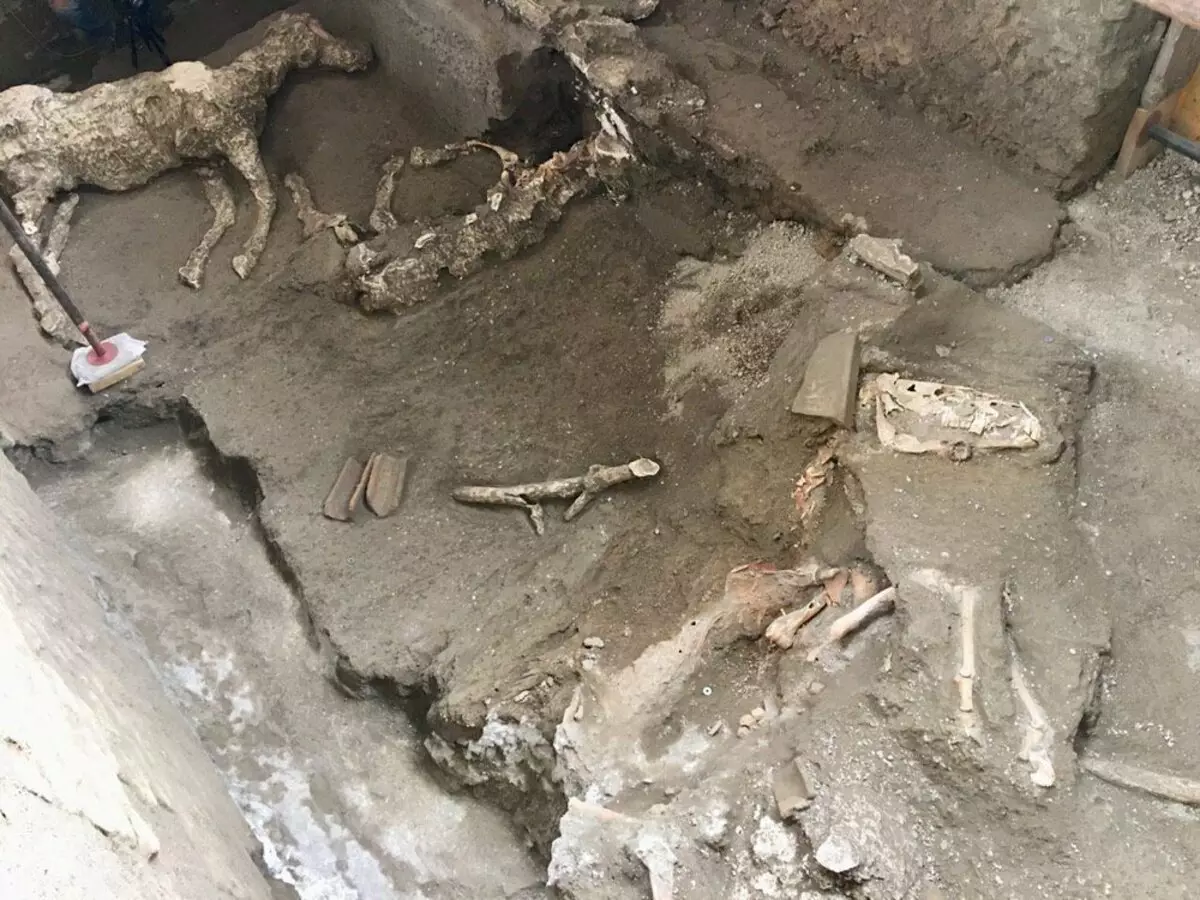 Utolsó lovak Pompeii
