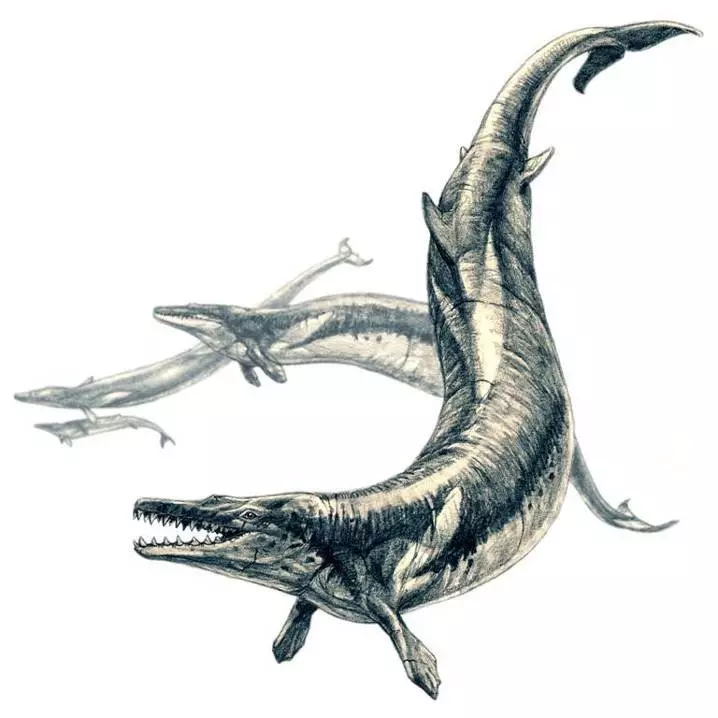 Eozän-Raubwale, die von Jungen anderer Wale gespeist sind