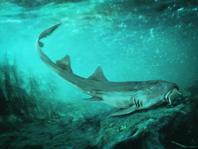 Uusi tyyppinen esihistoriallinen hai on avattu.