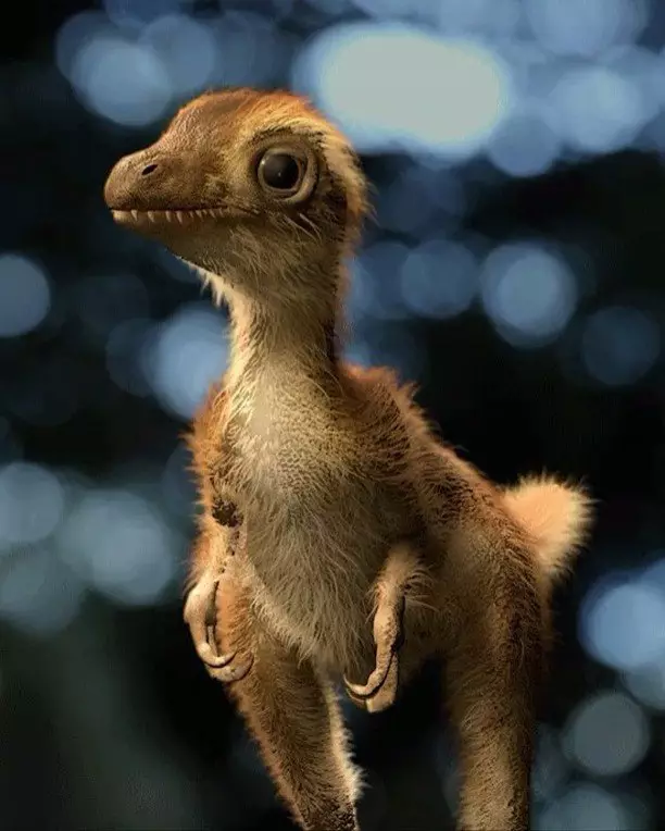 Apa yang Tyrannosaurus Rex muda tampak seperti: Video