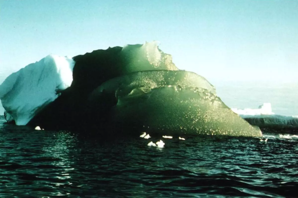 Das Geheimnis der grünen Eisberge enthüllte sich