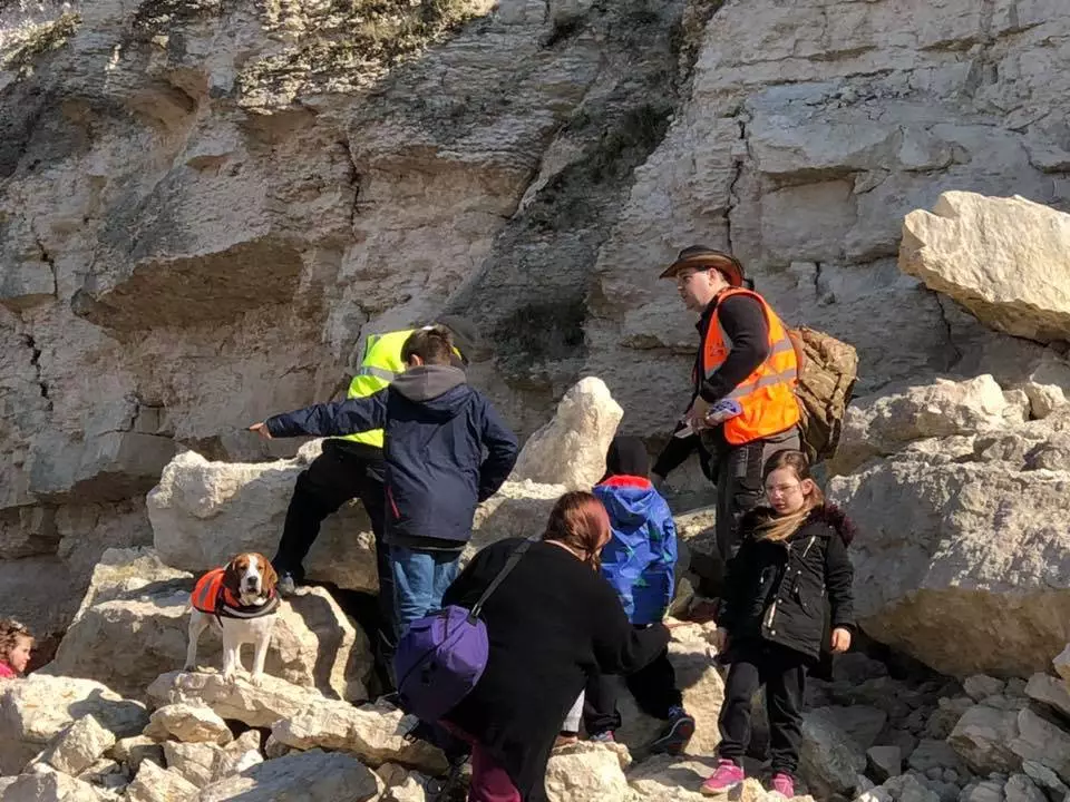 Hund-paleontologen grävde ut benet i en gammal noshörning