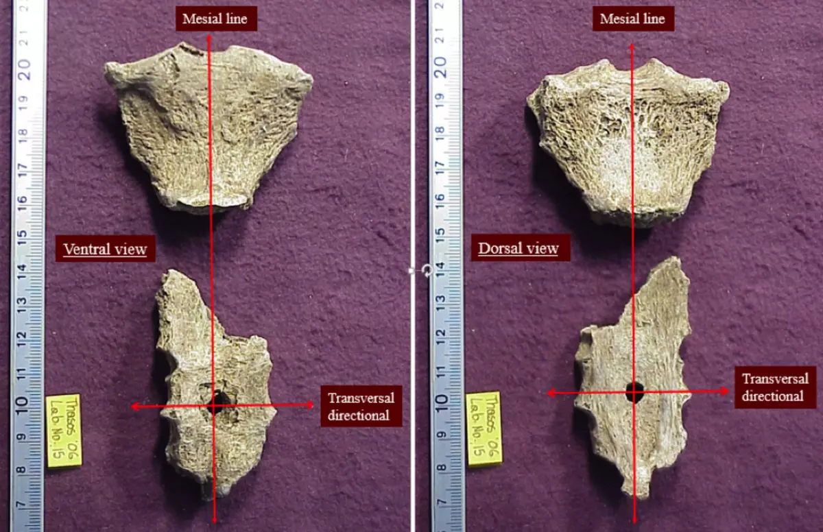 "Καταπληκτική ακρίβεια": Βρέθηκαν αρχαία λείψανα του εκτελεσθέντος φυλακισμένου