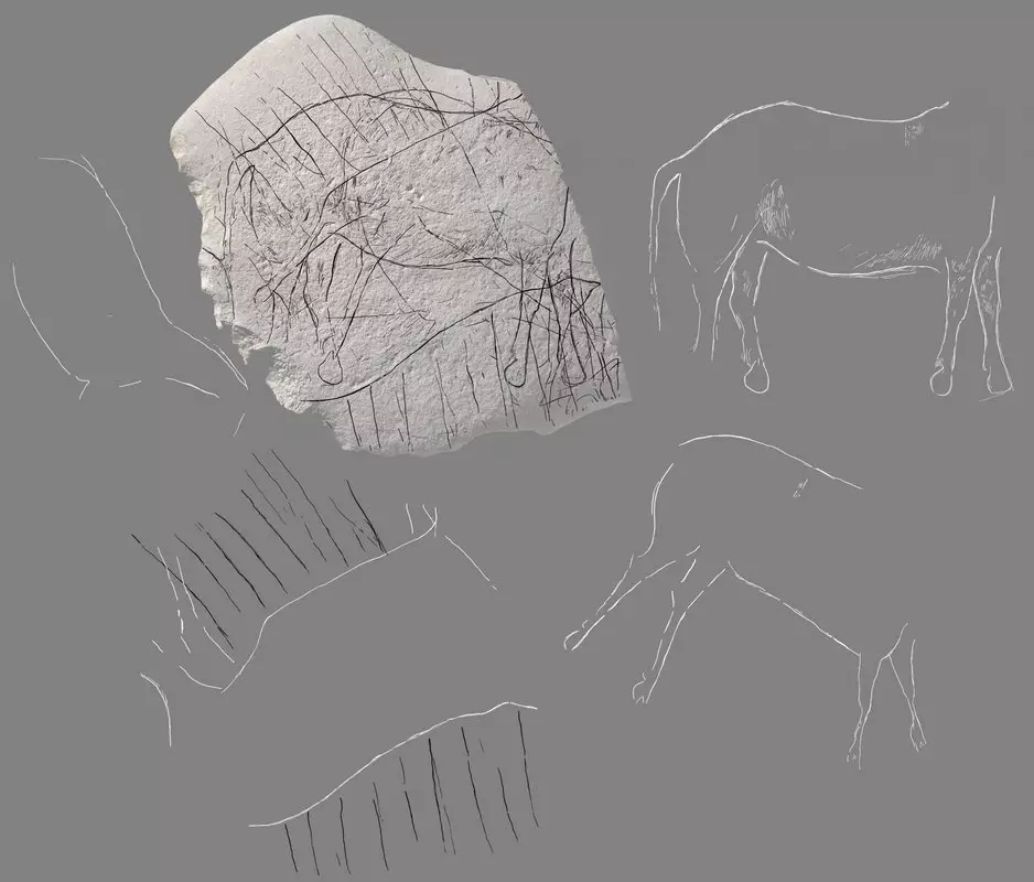 Gamle kunst: På forhistorisk sten fundet hestegravering