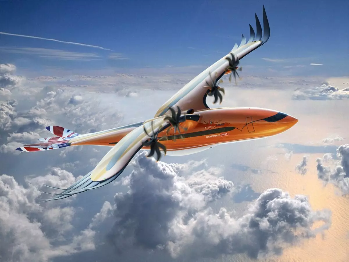 ایئر بیس پرندوں کی پرندوں کا شکار تصور - plane.jpg