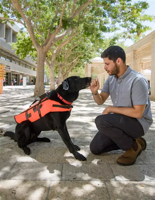 Creato un pannello di controllo del cane: video