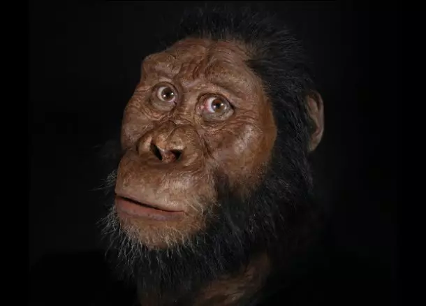 Она што го погледна австраливецот, кој живеел пред 3,8 милиони години