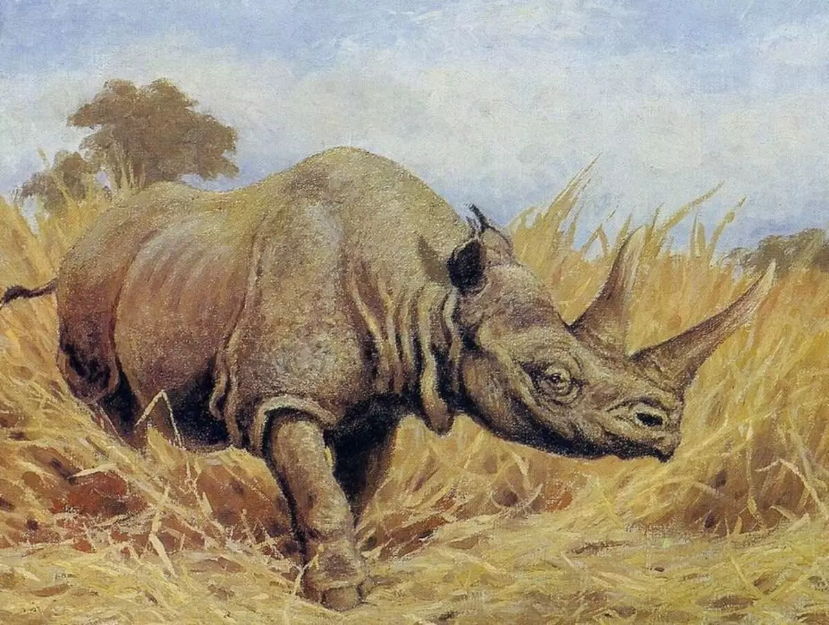 På "jordens jordens jord" er restene av en gammel rhino