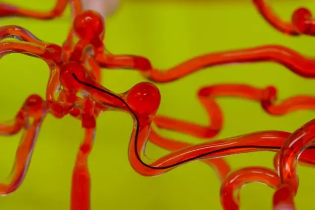 ビデオ：脳を浸透することができるロボットヘビを、作成しました