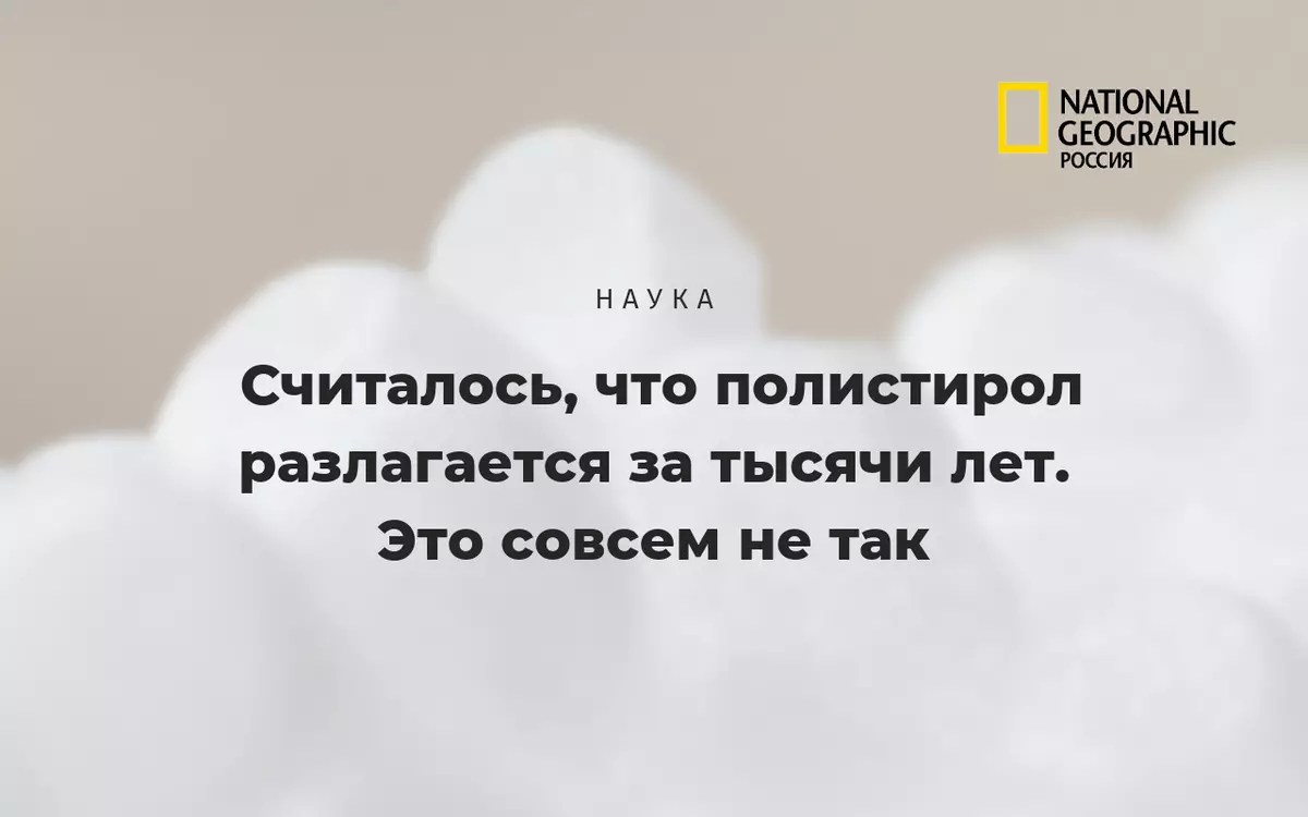 Вважалося, що полістирол розкладається за тисячі років. Це зовсім не так