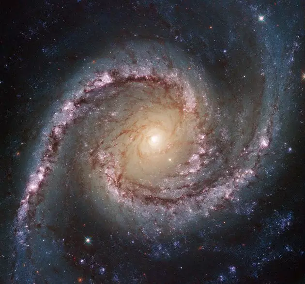 Nasa_galaxy ngc1566.
