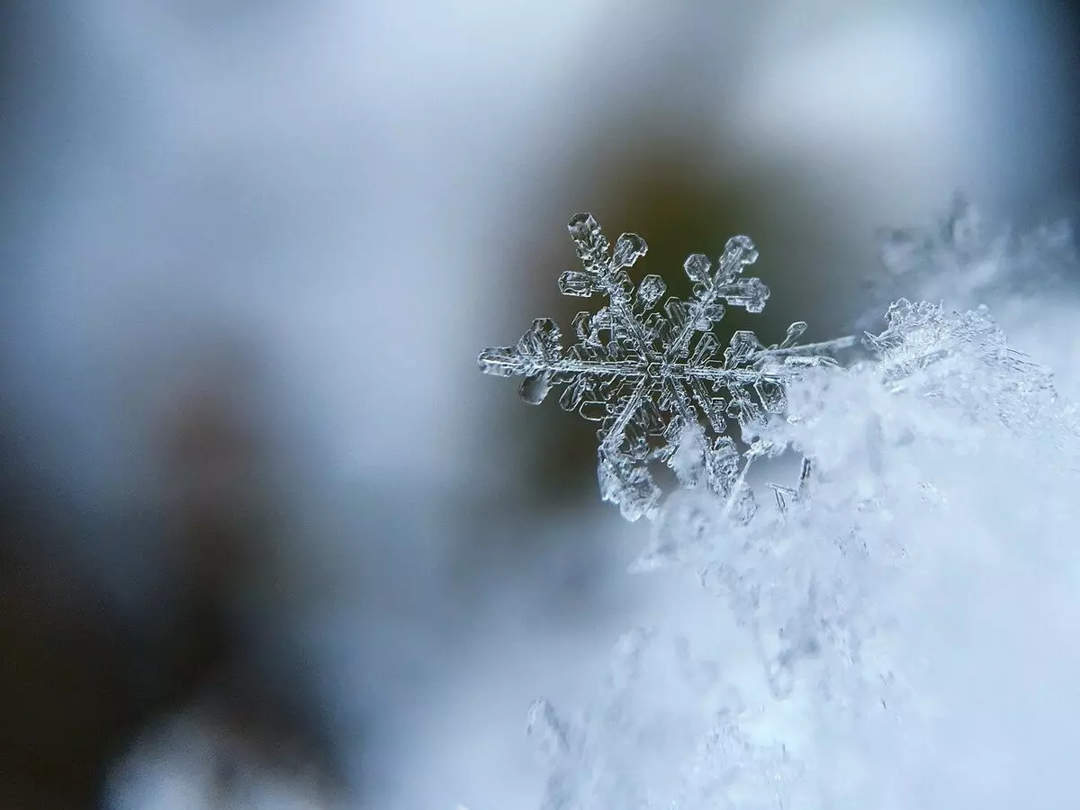 Snowflake-1245748_1280.jpg.
