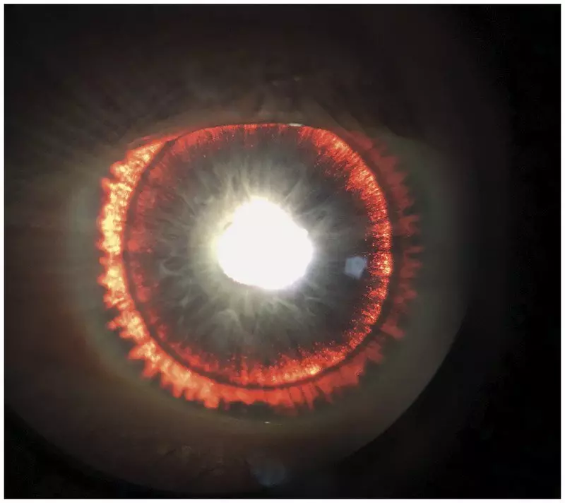 The inhabitant of Texas discovered the "Eye of Sauron"