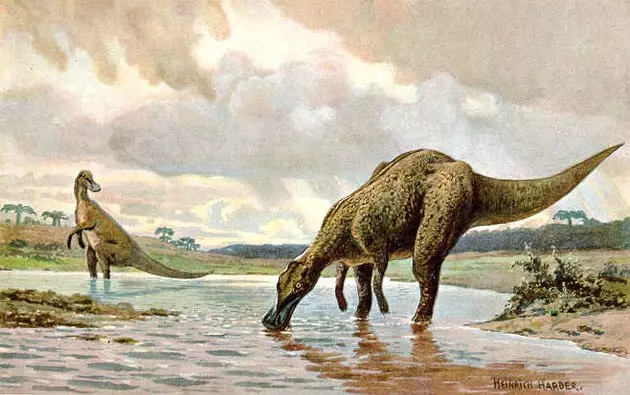 Hadrosaur.jpg.