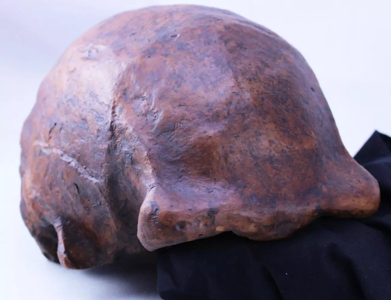Homo erectus i fundit mbetet i datës në një dekadë