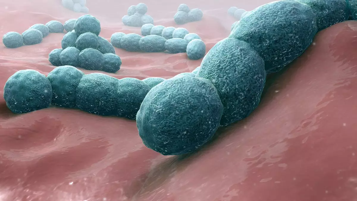 למה חיידקים קניבלים להרוס קרובי משפחה