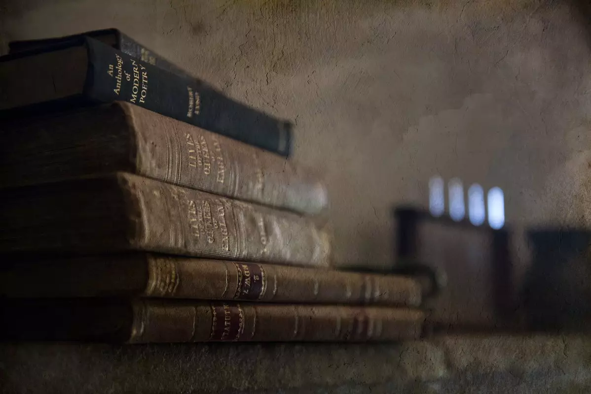 In de Corsicaanse bibliotheek vond een zeldzaam boek van Isaac Newton