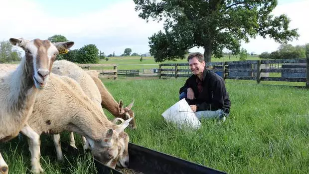 Les chèvres géniales donneront du lait avec la médecine du cancer