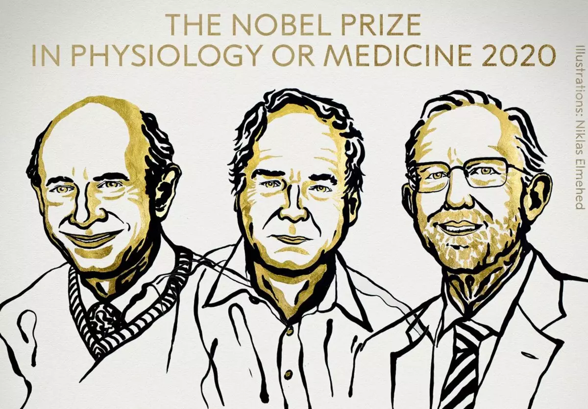 La Nobel-premio por Medicino estis donita por kontribui al la batalo kontraŭ hepatito kun