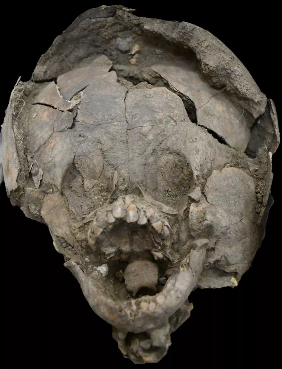 Ancient Ecuadorians buried babies, put on their heads of the skull of other children