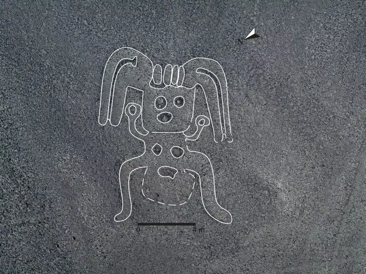 Nuevos geoglifos de misteriosas criaturas que se encuentran en la meseta de Nazca