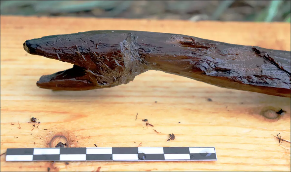 Finnaj arkeologoj trovis lignan serpenton de la malfrua neolitiko
