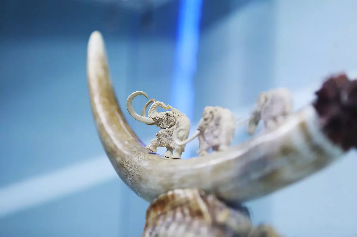 Yakut científics crearan sabó amb uns encenalls d'os de mamut