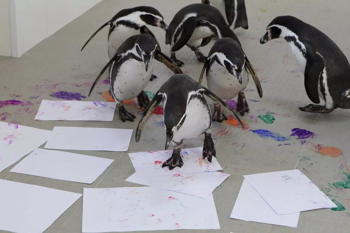 Pingvin-artister uppträdde i havet Oceanarium