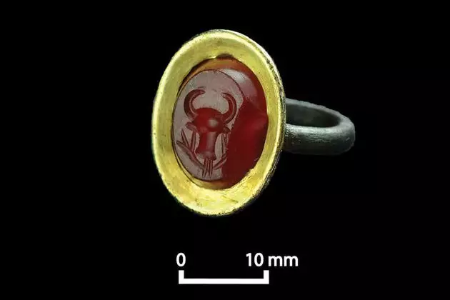 Ring found in Beta Satim