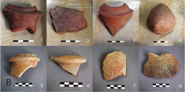 중국에서 발견 된 신석기 amplous의 조각