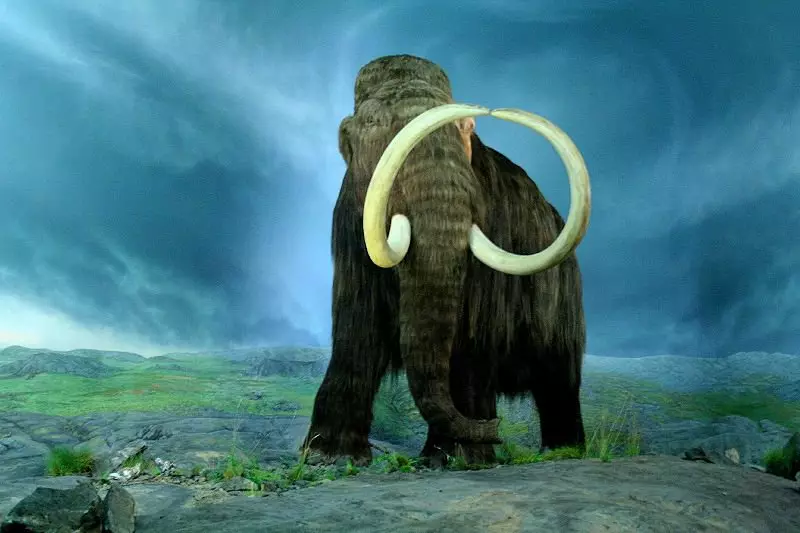 Mammoth ya woolly