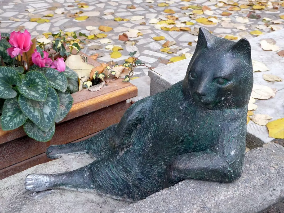 Monument für eine Katze in Istanbul