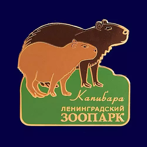 Dieretuin-Capibara.jpg.