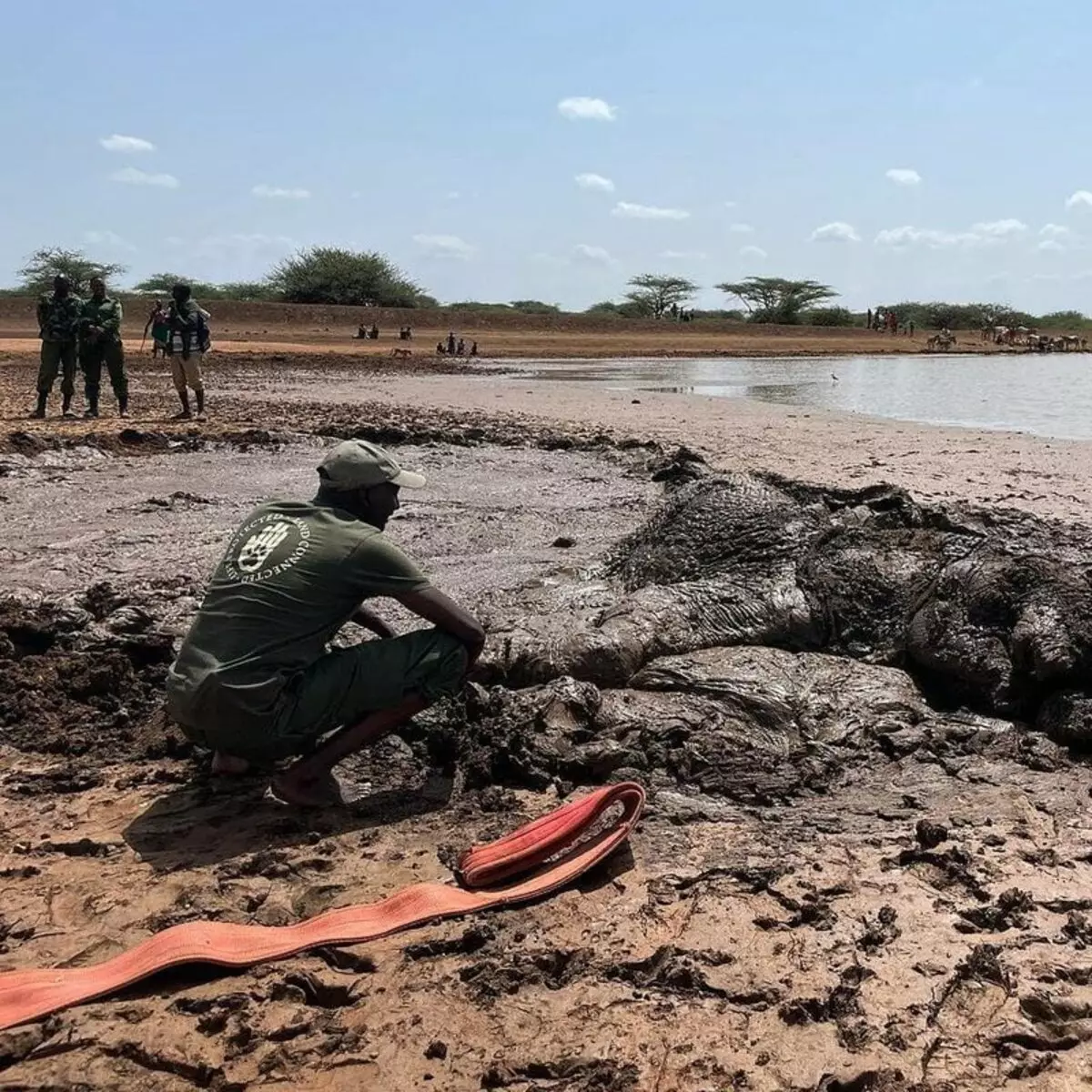 V Keni, Salonich byl spasen, uvízl v blátě: Foto